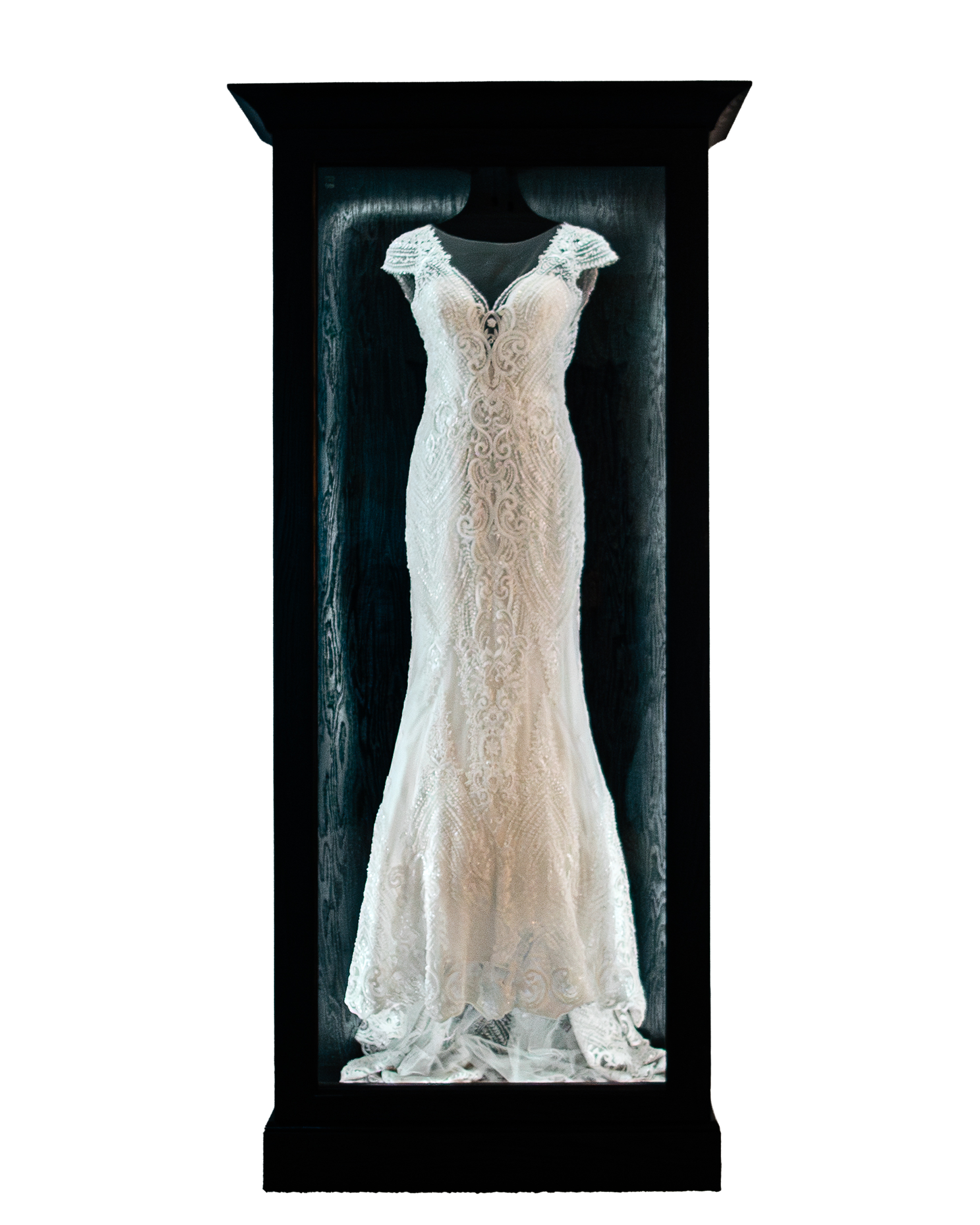 Mrs. Case - Wedding Dress Display & Protection Case