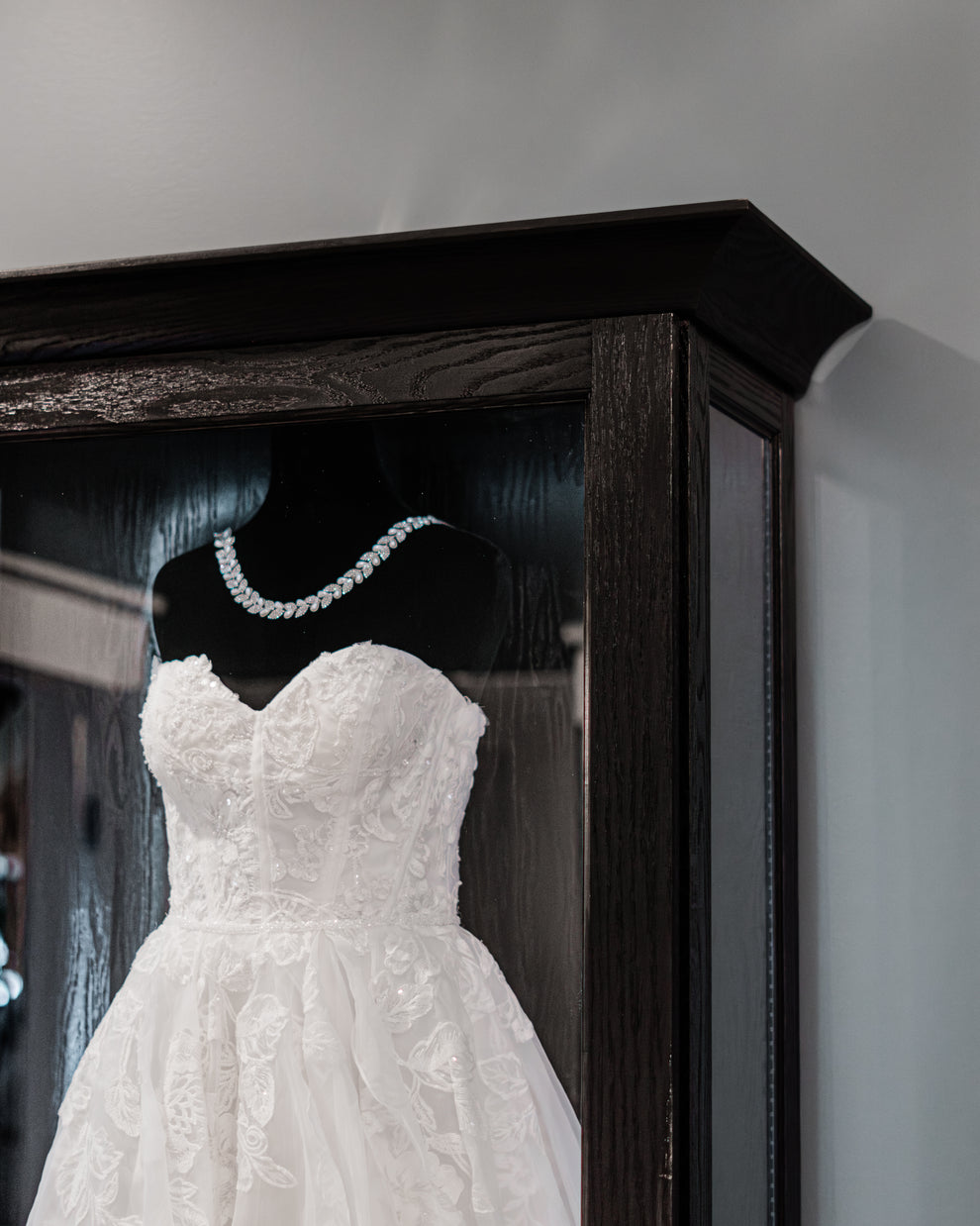 Mrs. Case - Wedding Dress Display & Protection Case